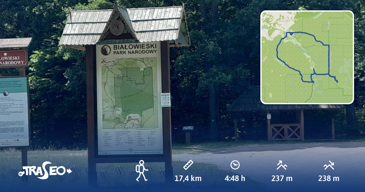 Trasa piesza Białowieski Park Narodowy - Kosy Most - Traseo